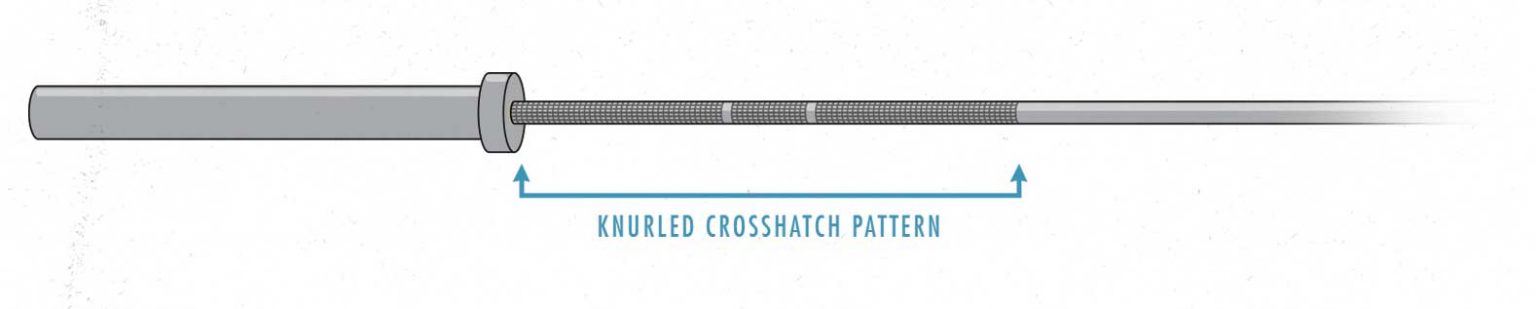 The Barbell Buyer's Guide (for Bodybuilding & Hypertrophy Training)