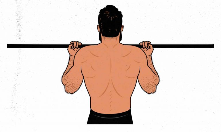 Chin-Ups vs Barbell Rows for Back and Biceps Growth