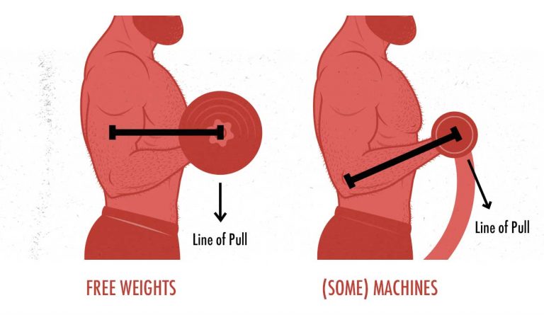 How Resistance Curves Affect Muscle Growth