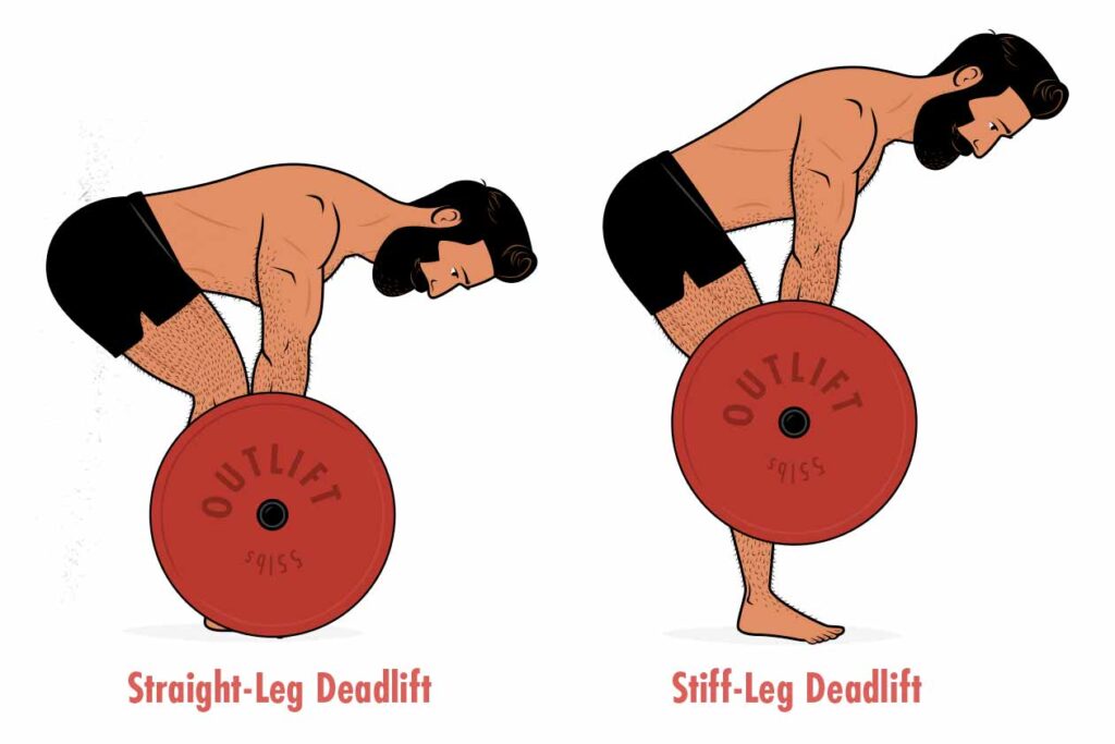 The Romanian Deadlift (RDL) Guide The Romanian Deadlift (RDL) Guide