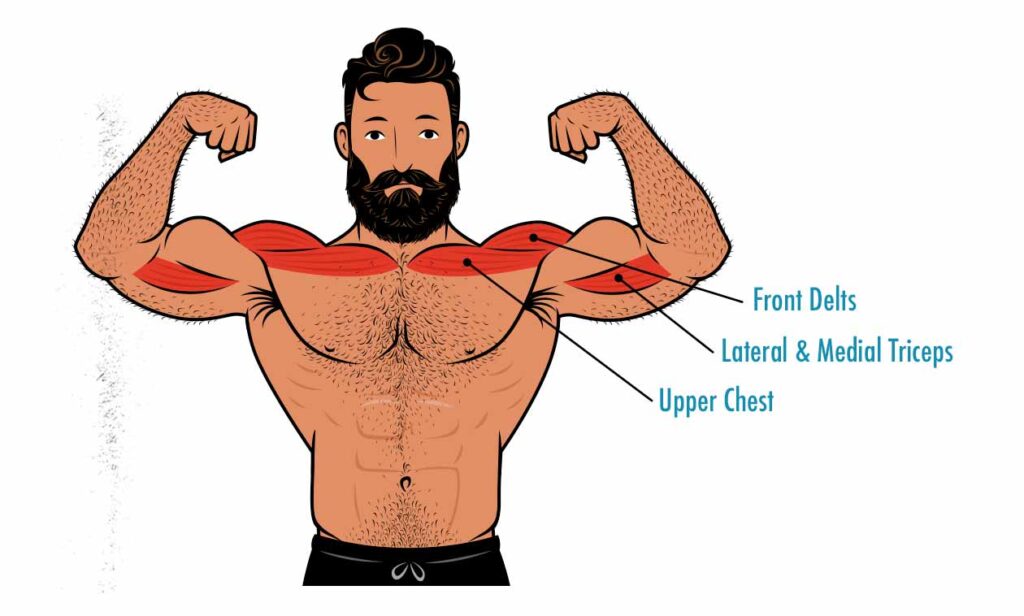 The Close-Grip Bench Press Guide – Outlift