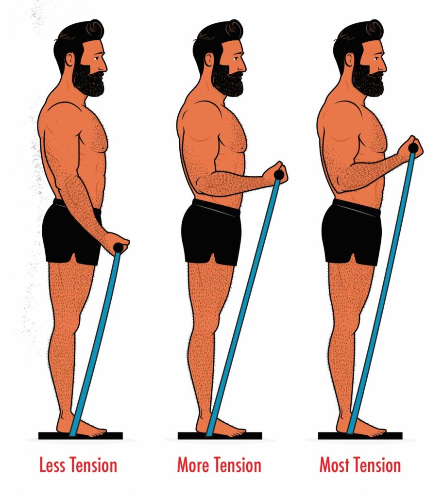 Review of the X3 Bar by Dr John Jaquish: Is It Good for Building Muscle ...