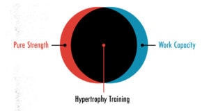 The Hypertrophy Training Guide: How to Lift for Muscle Size