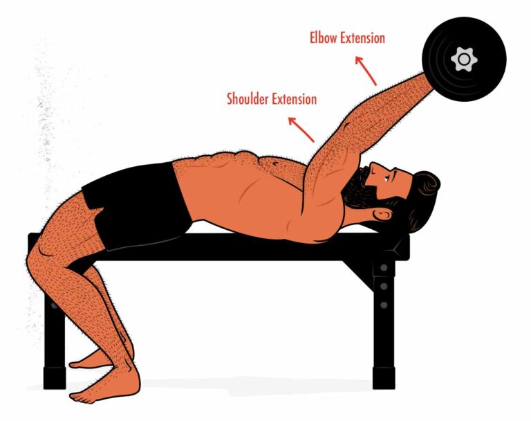How to Build Bigger Triceps – Outlift