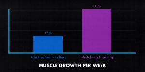 Long-Muscle-Length Training (Aka Stretch-Mediated Hypertrophy)