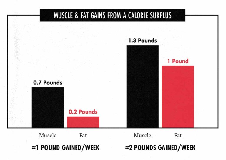 How to Build Muscle—Full Guide