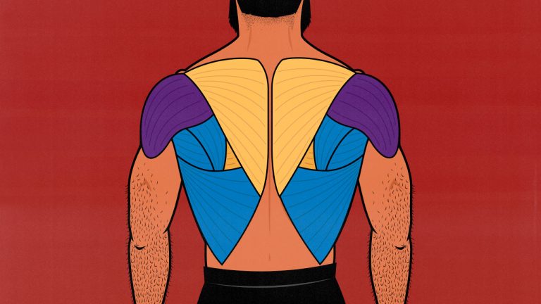 What Muscles Do Pull Ups Work 9258