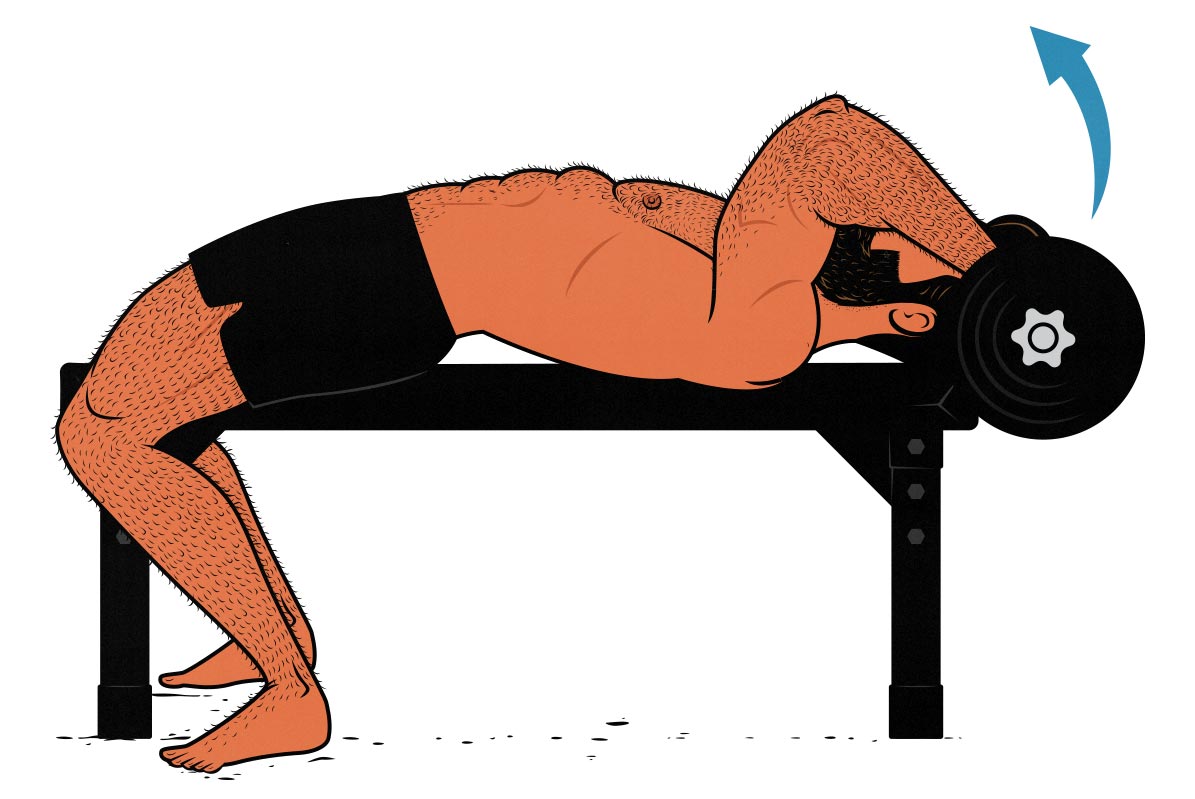 Does the Bench Press Work Your Triceps? Yes, But Only Sort Of