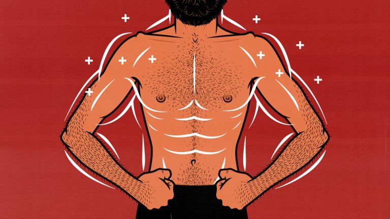 Full-Body Workouts vs Splits: Which Builds More Muscle?