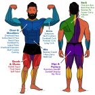 The Best Dumbbell Exercises for Every Muscle